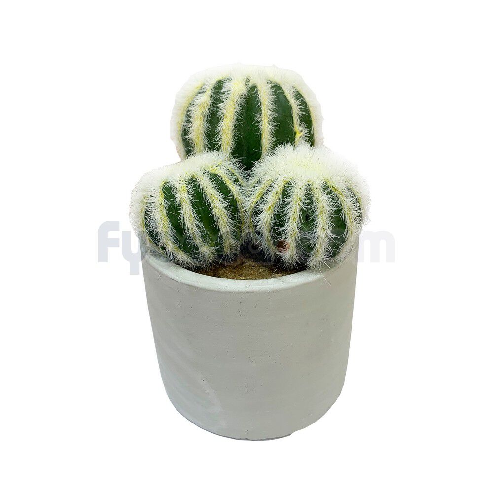 Cactus Con Maceta Decorativa 16 Cm Unidad | Fybeca