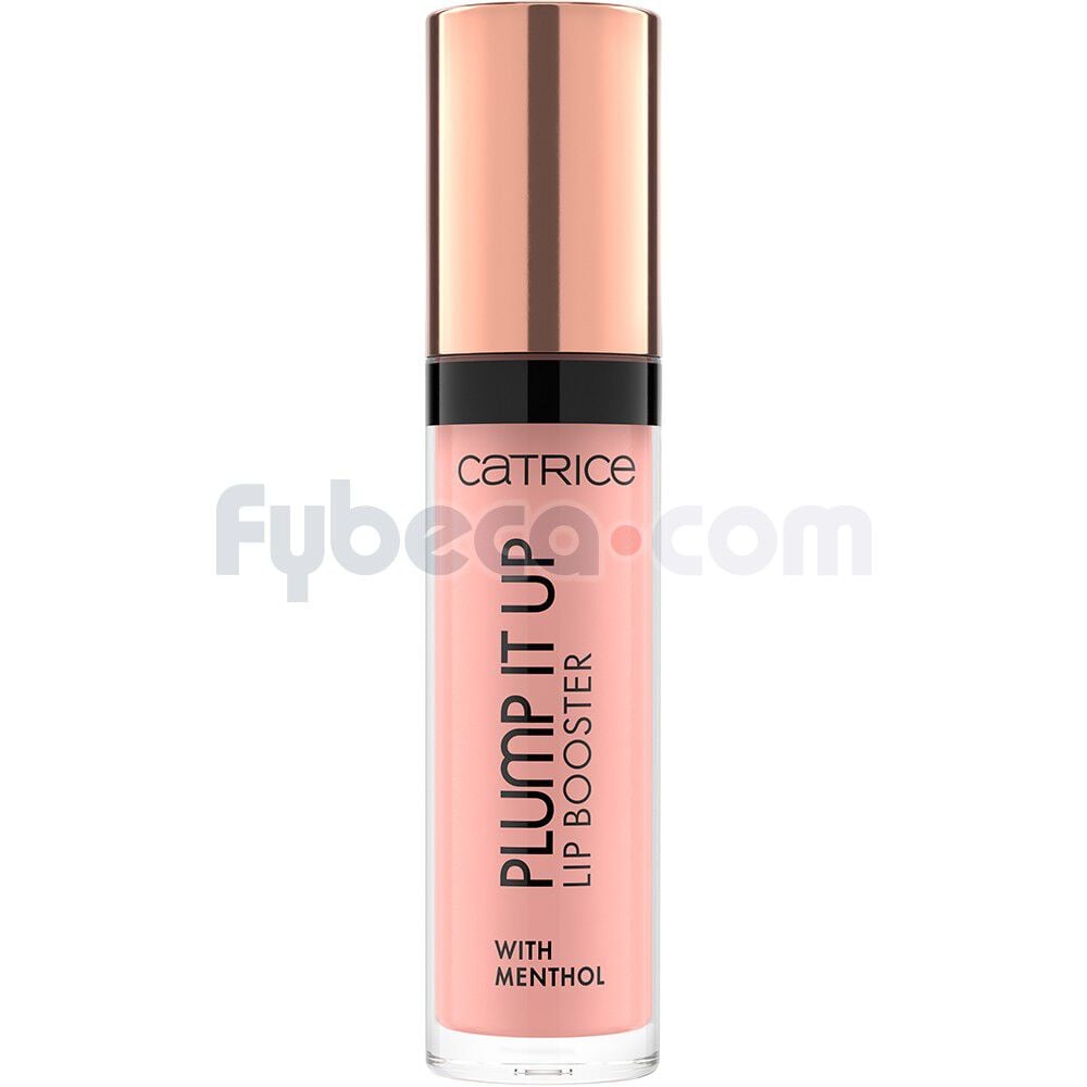 Brillo Labial Plump It Up Lip Booster 3,5 Ml 060 Catrice | Fybeca