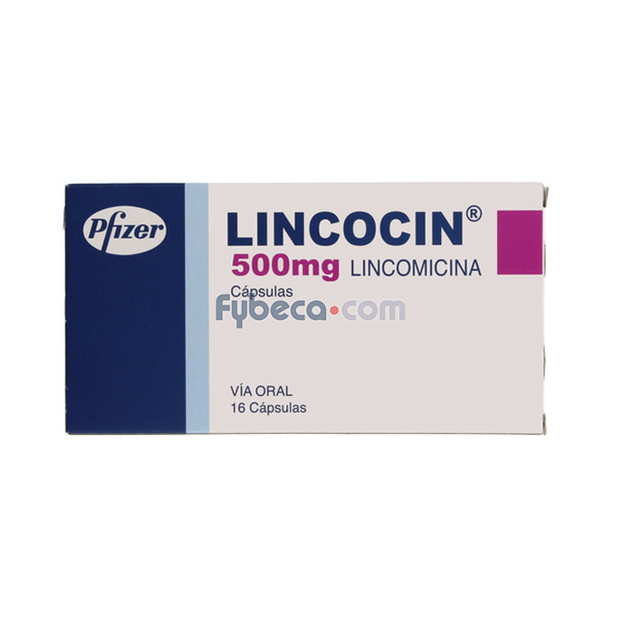 Lincocin Caps. 500 Mg. C/16 Suelta | Fybeca