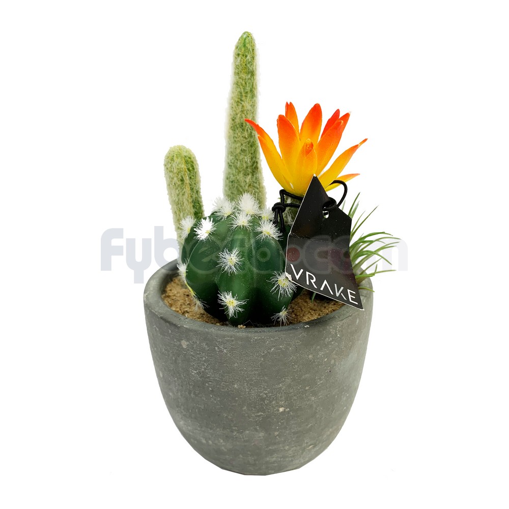 Cactus Con Maceta Gris Decorativa 19 Cm Unidad | Fybeca
